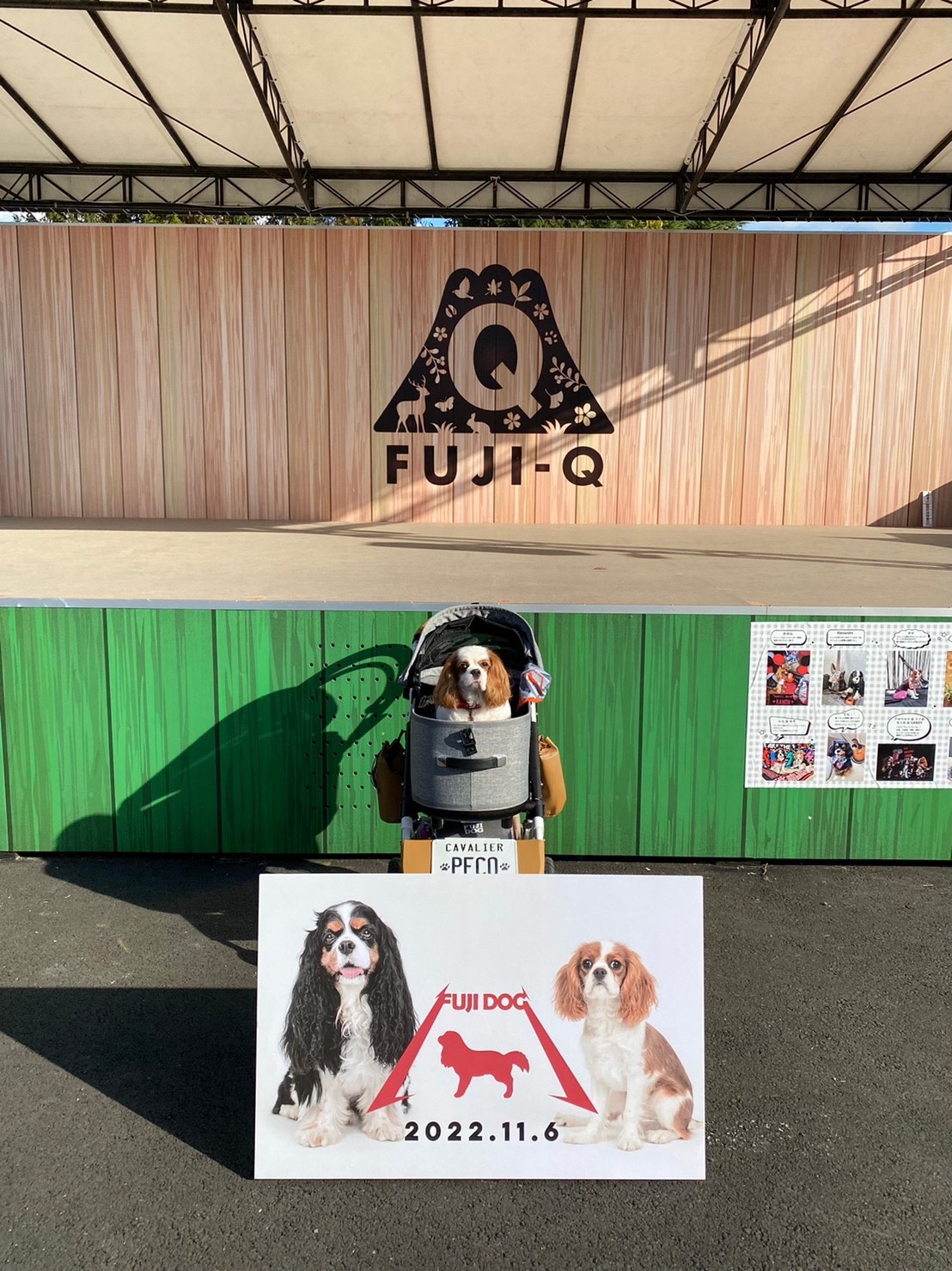 『FUJI DOG 2022』に行ってみました。 – キャバリア倶楽部